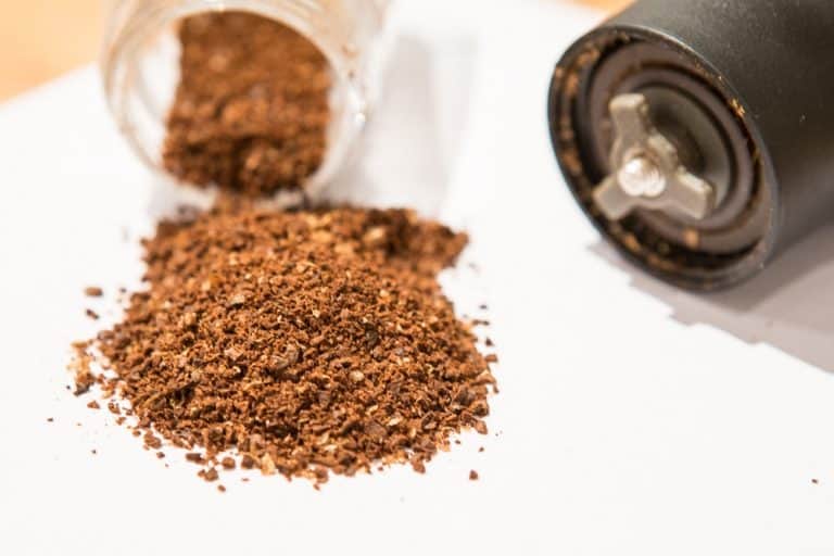 How to French Press: Step by step brew guide