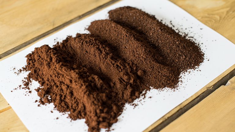 What is a Speciality Coffee and Why should you drink it?