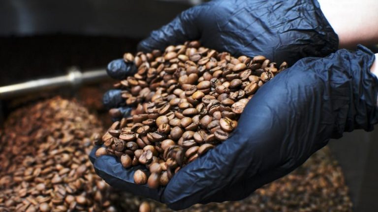 7 Best Home Coffee Roaster Reviews. Control Your Roast!